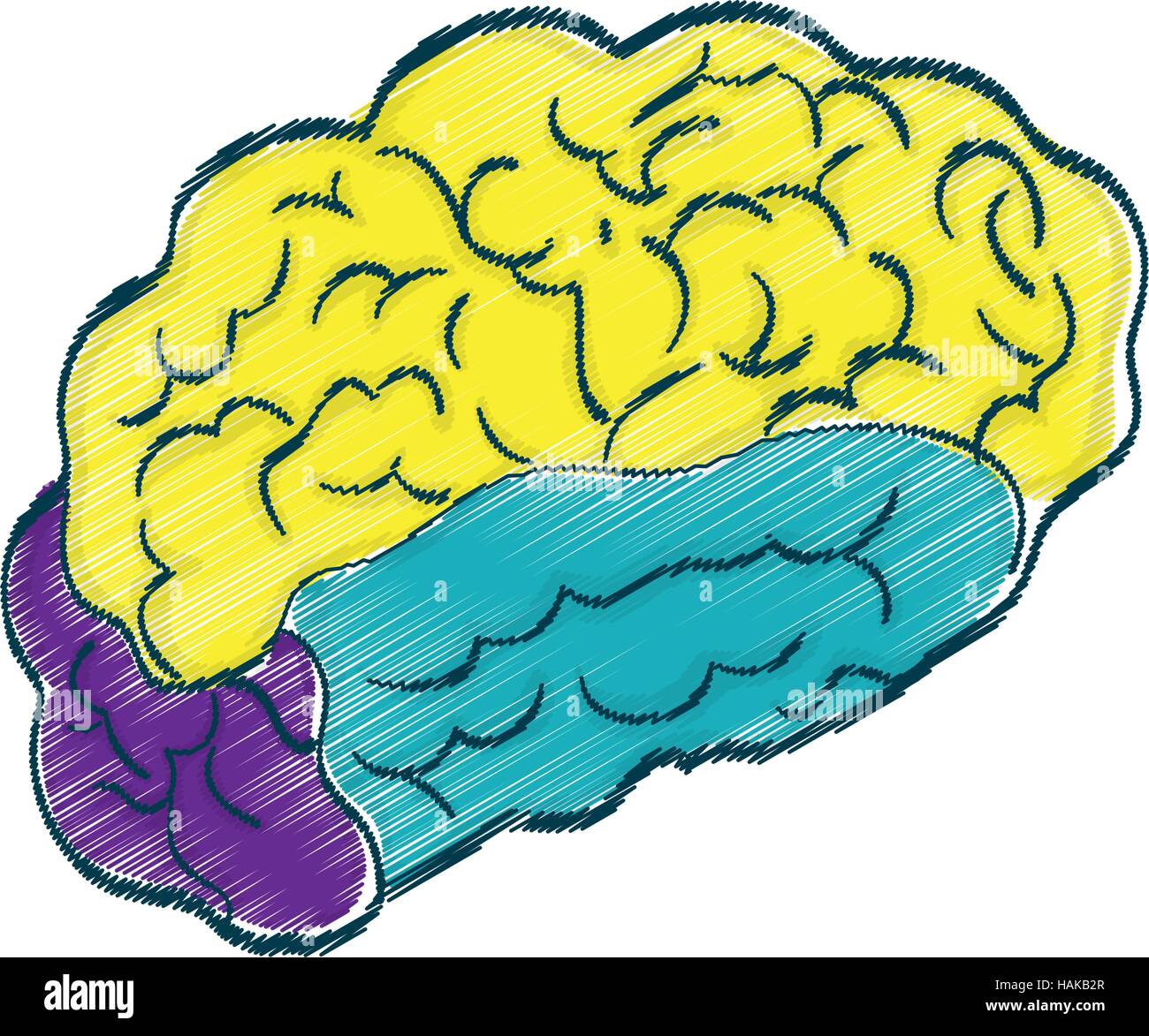 Human brain mind icon vector illustration graphic design Stock Vector ...