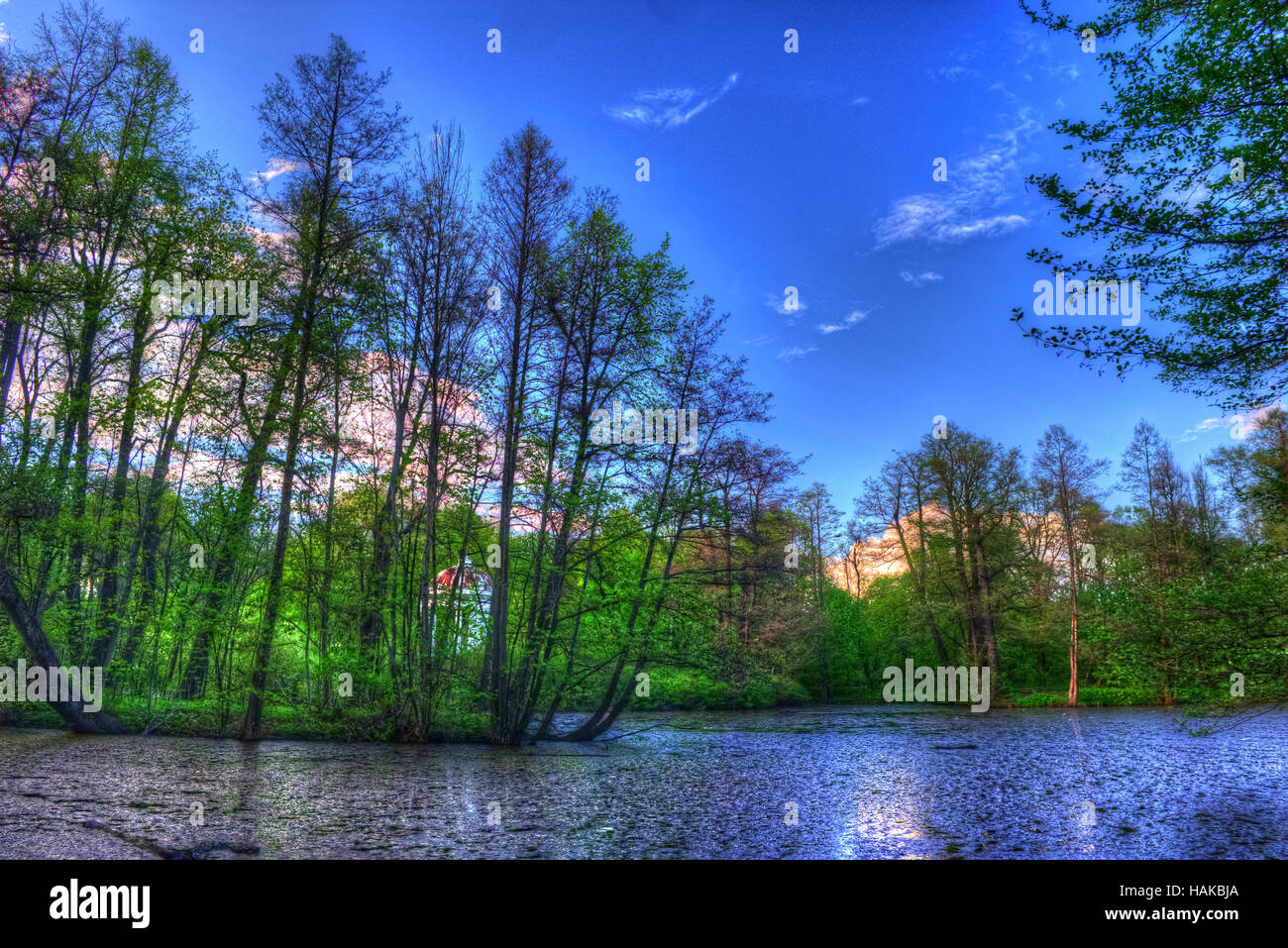 Summer landscape. Green trees around the lake Stock Photo - Alamy