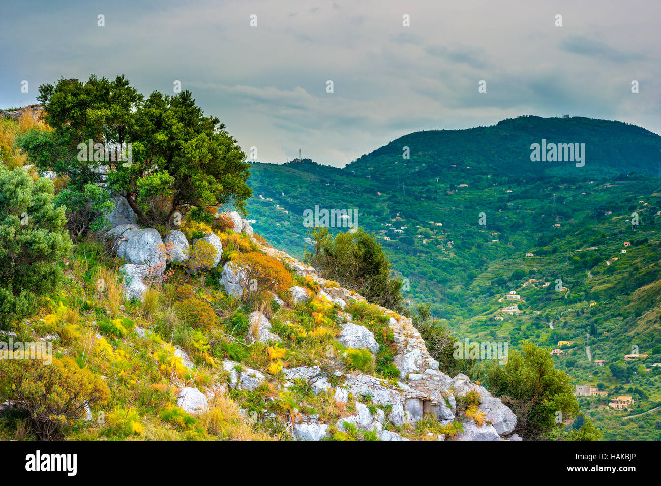 Landscape with trees and stones Stock Photo - Alamy