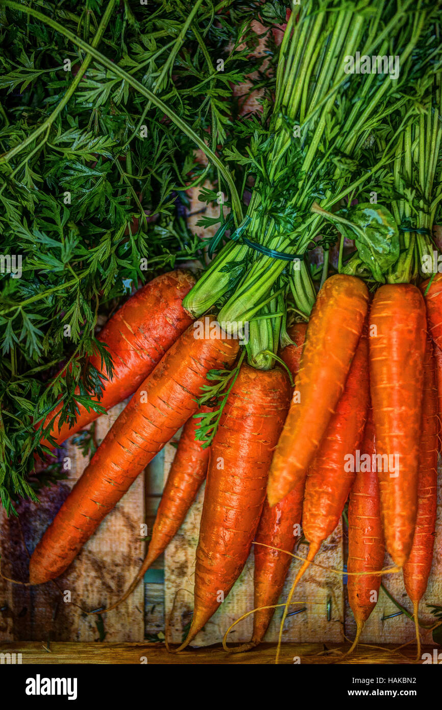 Fresh carrots bunch in the wooden box Stock Photo - Alamy
