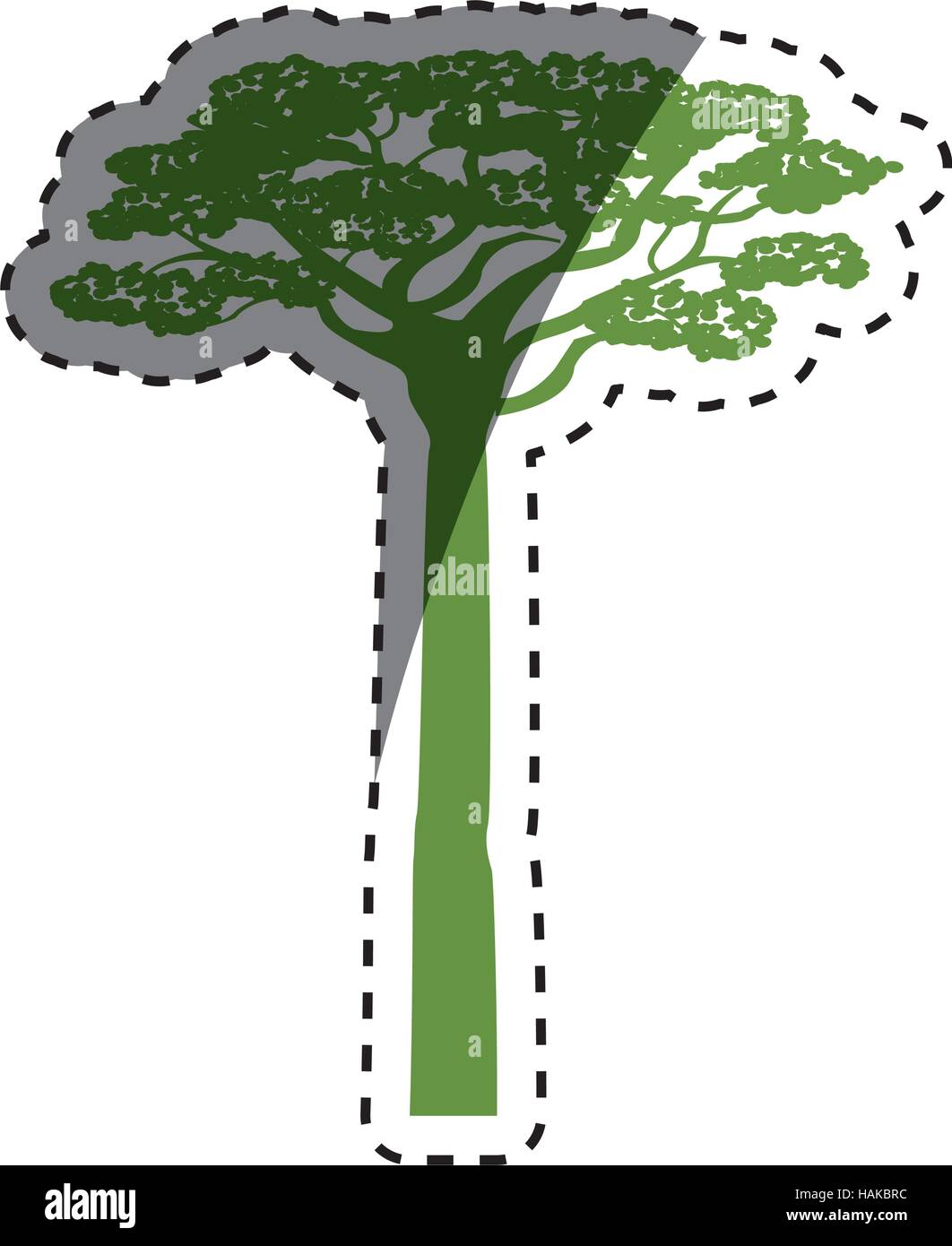 Africa acacia tree icon vector hi-res stock photography and images - Alamy