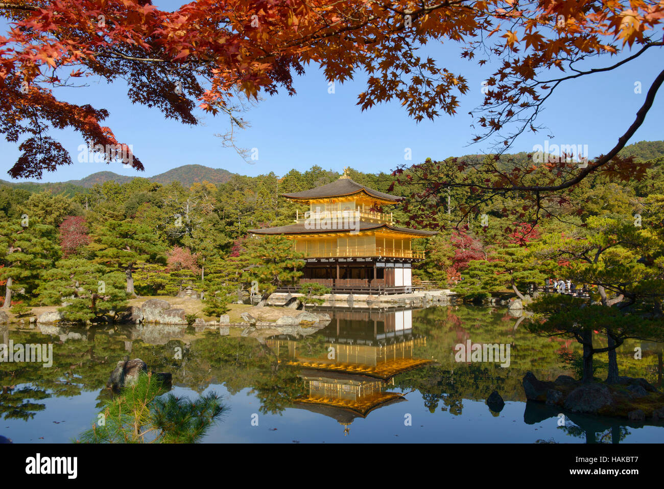 Autumn reflection at Kinkaku-ji Temple (Golden Pavilion), Kyoto, Japan ...