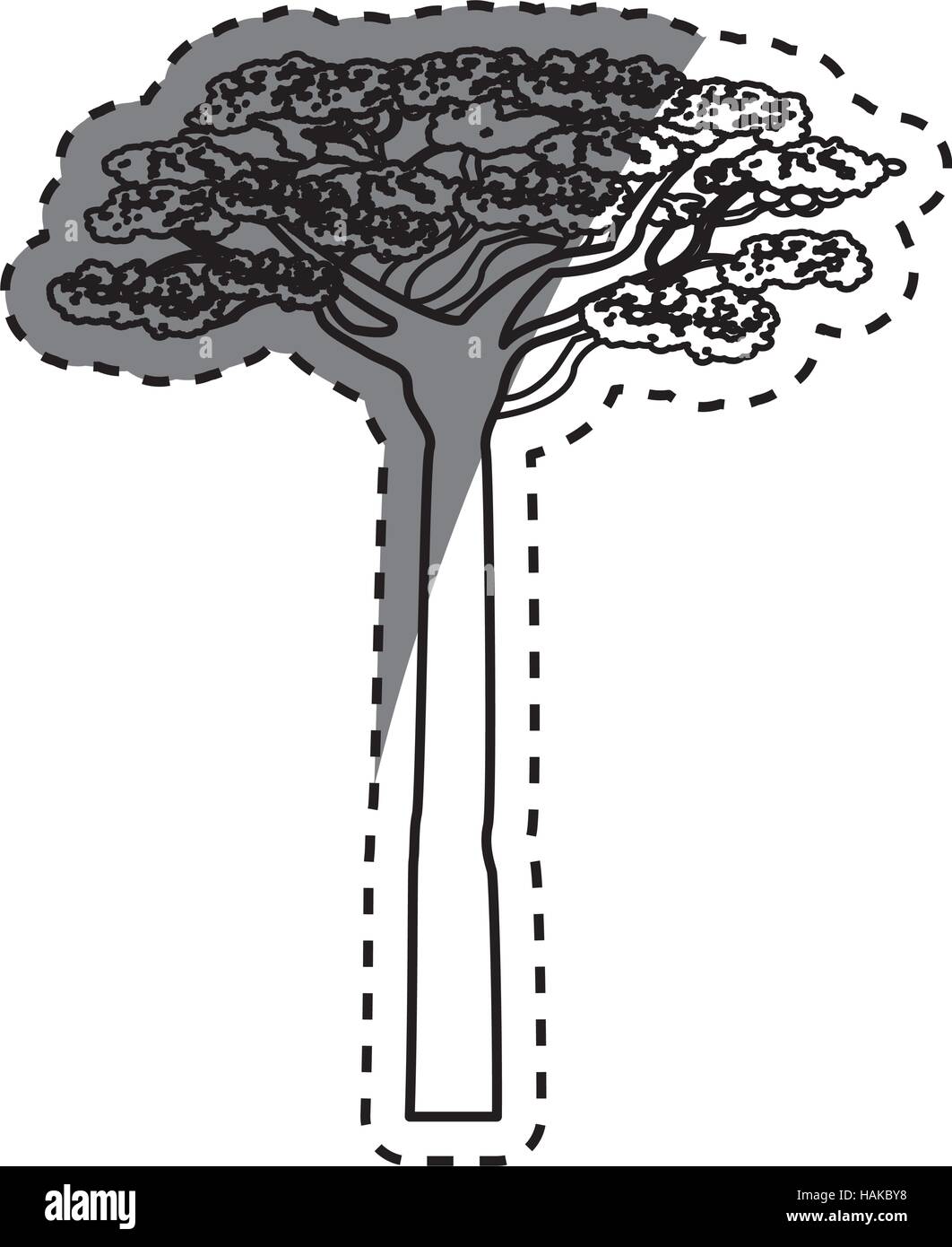 Africa Acacia Tree Icon Vector High Resolution Stock Photography and ...