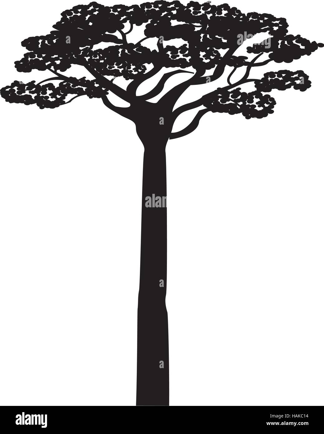 africa acacia tree icon vector illustration graphic design Stock Vector ...