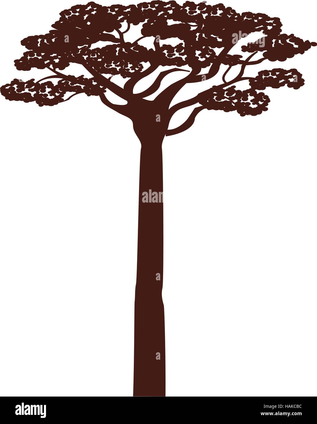 Acacia Tree Silhouette Vector