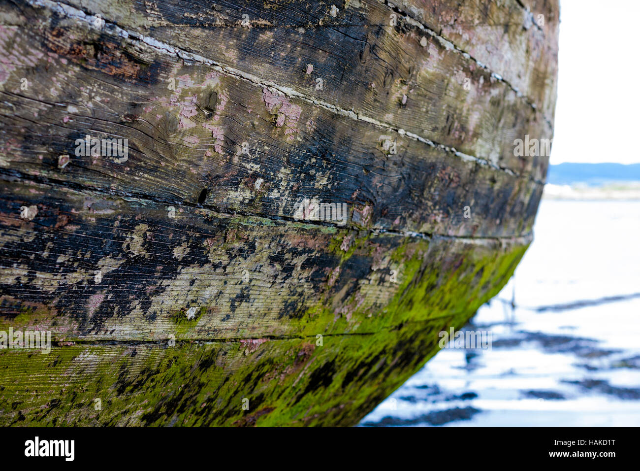 Texture and grain on the wooden hull of a wrecked fishing boat Stock ...