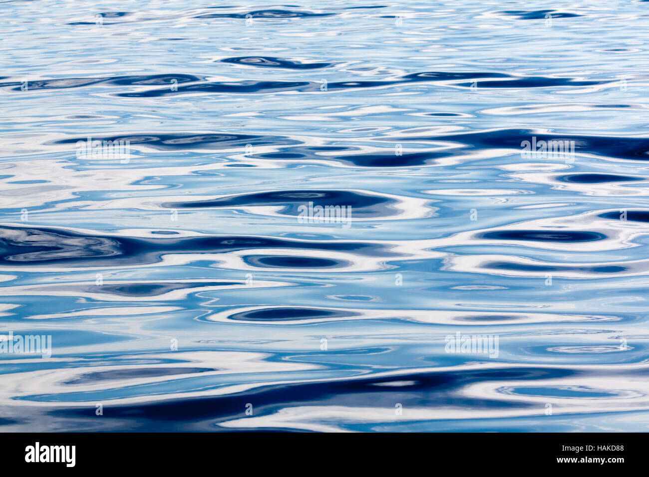 Ocean Wave Ripples