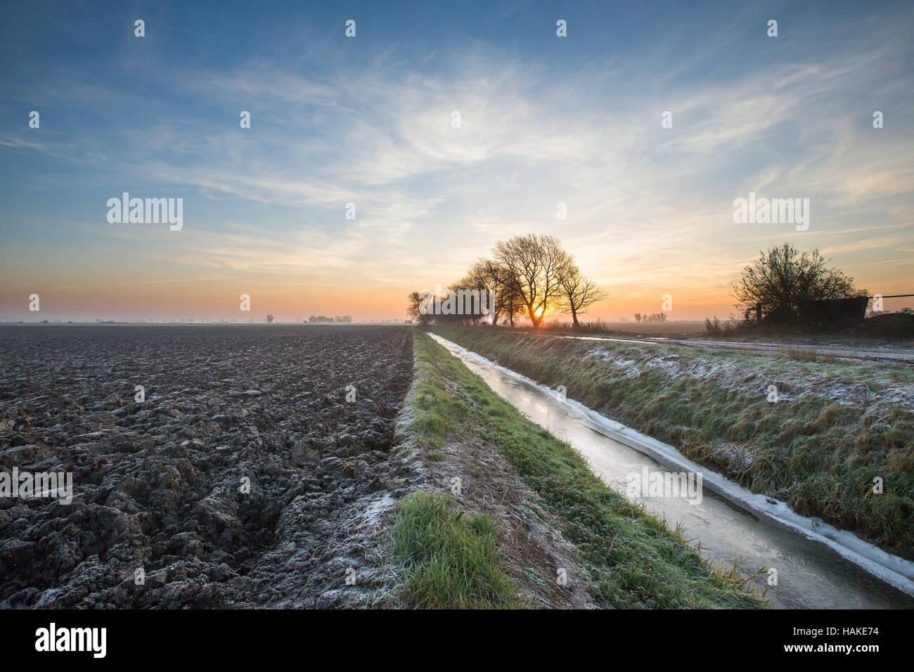 The frozen Cambridgeshire Fens near Ely on the first day of the ...