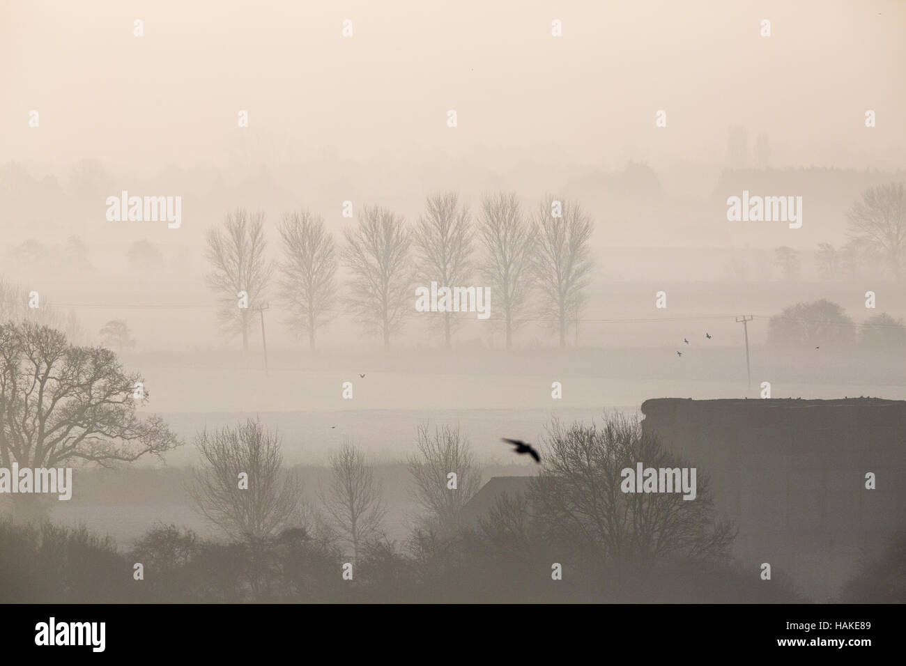 The frozen Cambridgeshire Fens near Ely on the first day of the ...