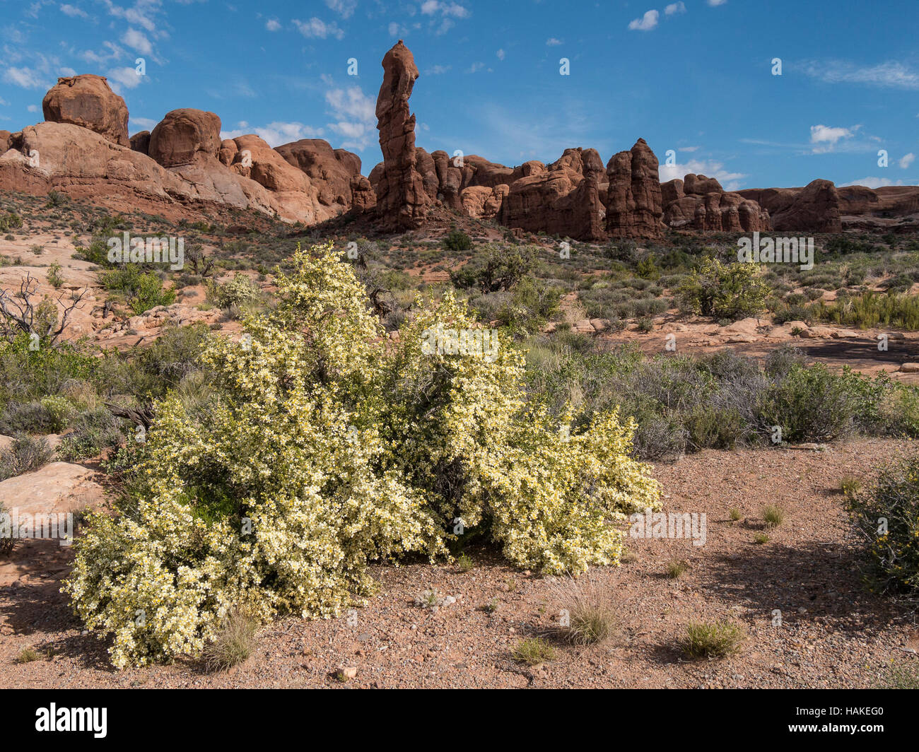 Rose arches hi-res stock photography and images - Alamy