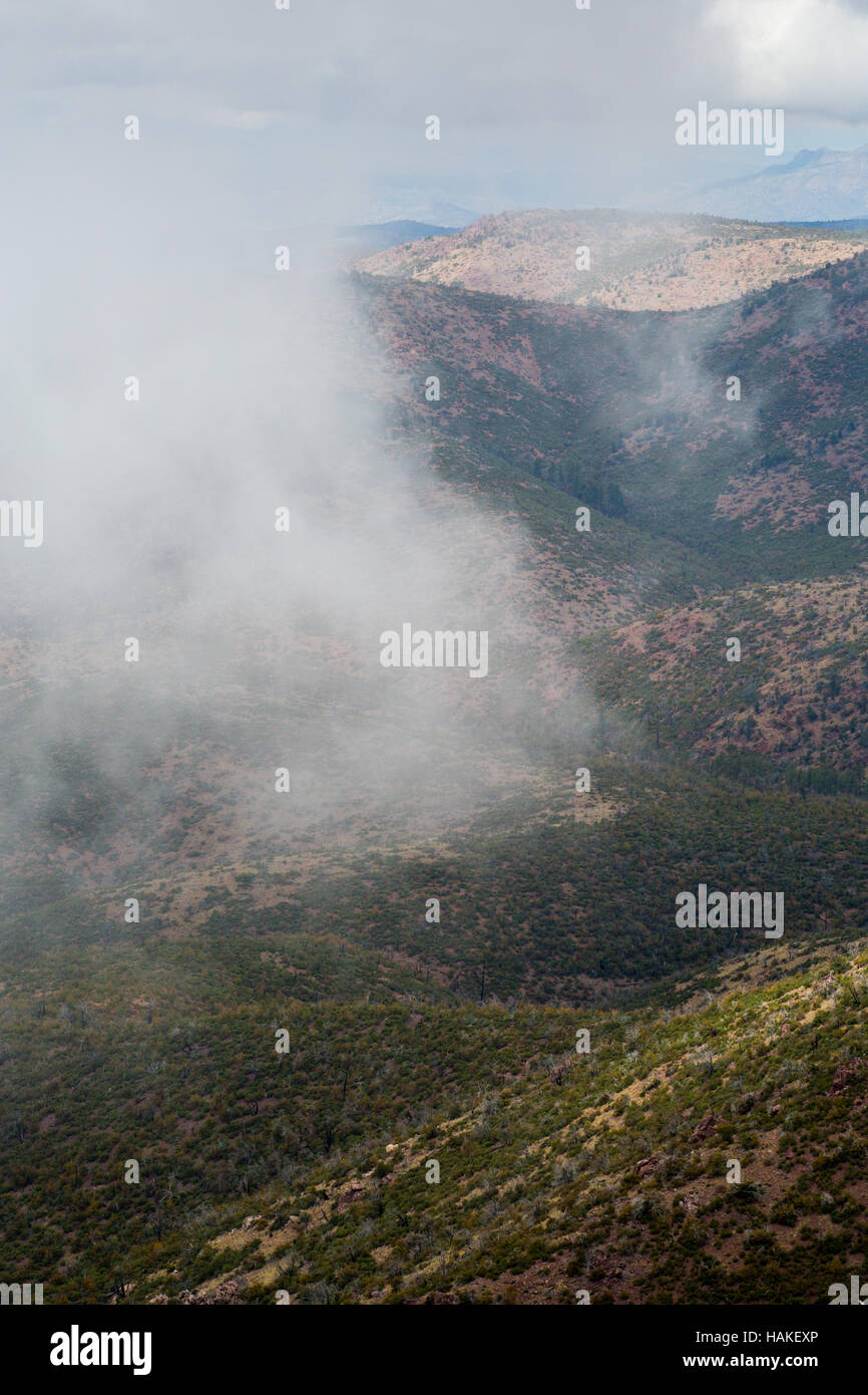 Fog lifting trees hi-res stock photography and images - Alamy