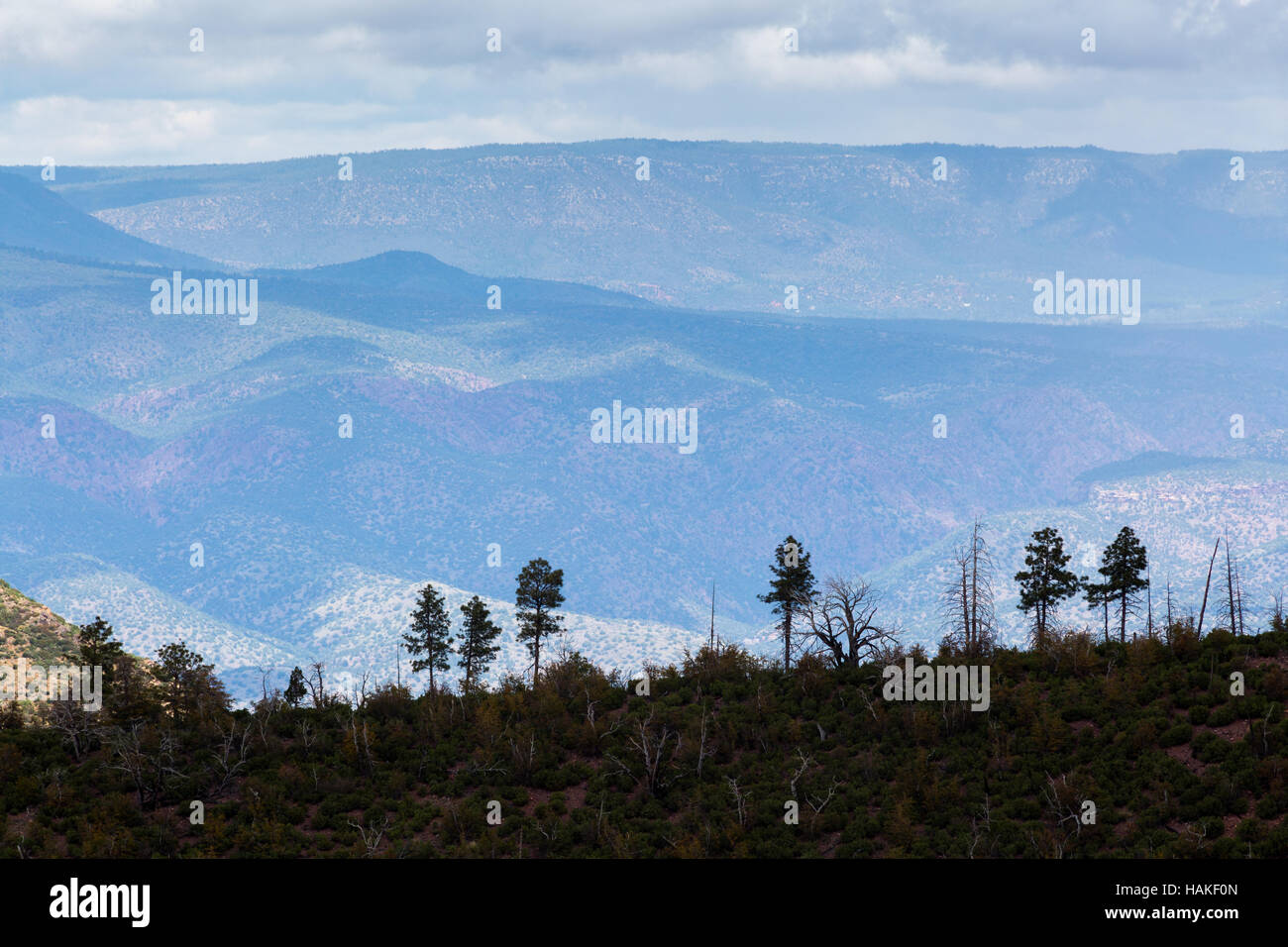 Arizona high country hi-res stock photography and images - Alamy