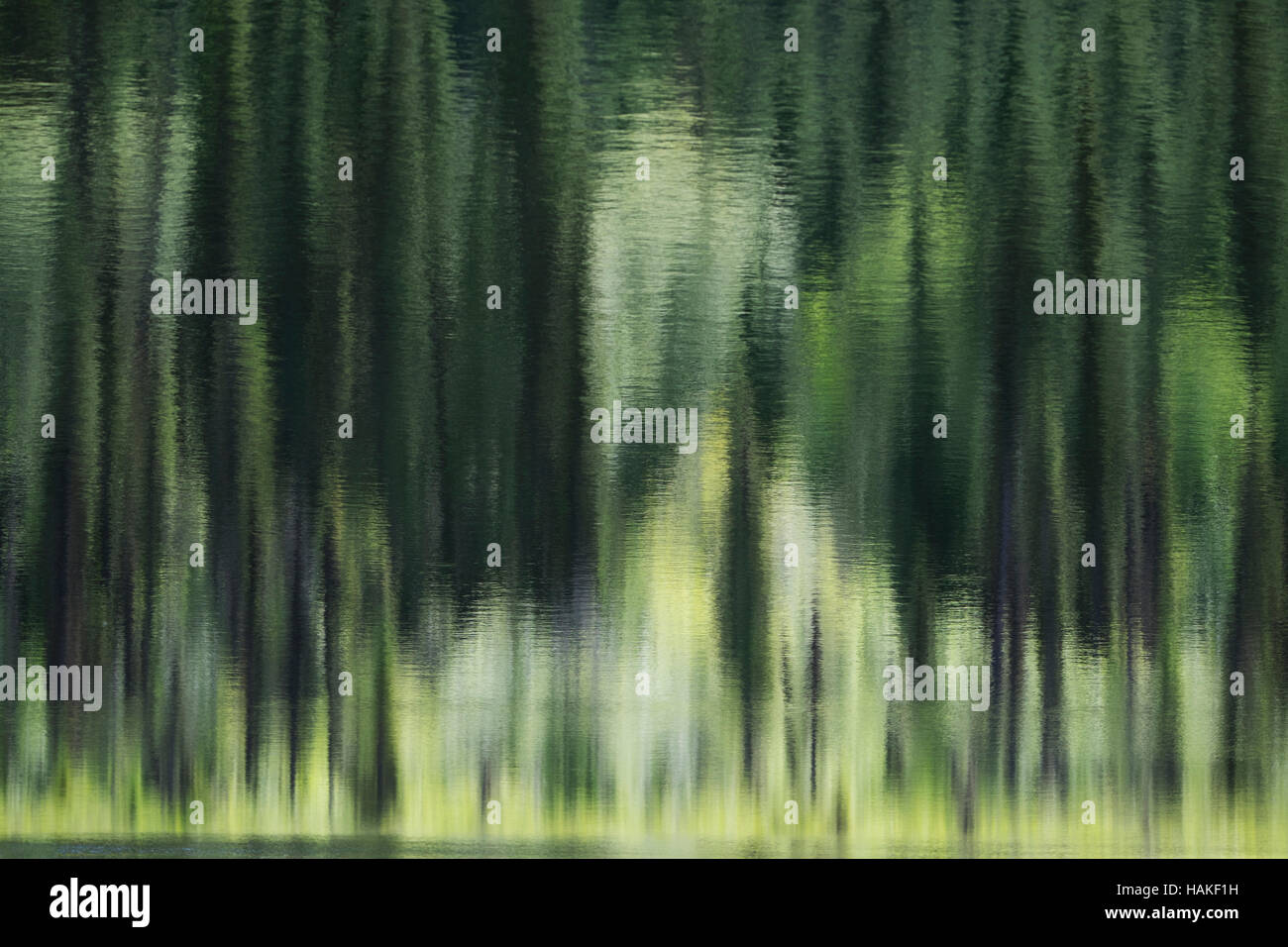 British columbia abstract patterns hi-res stock photography and images ...
