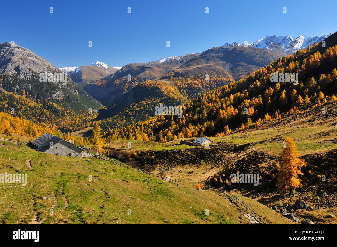 Mountain Landscape, Albula Pass, Grisons, Switzerland Stock Photo - Alamy