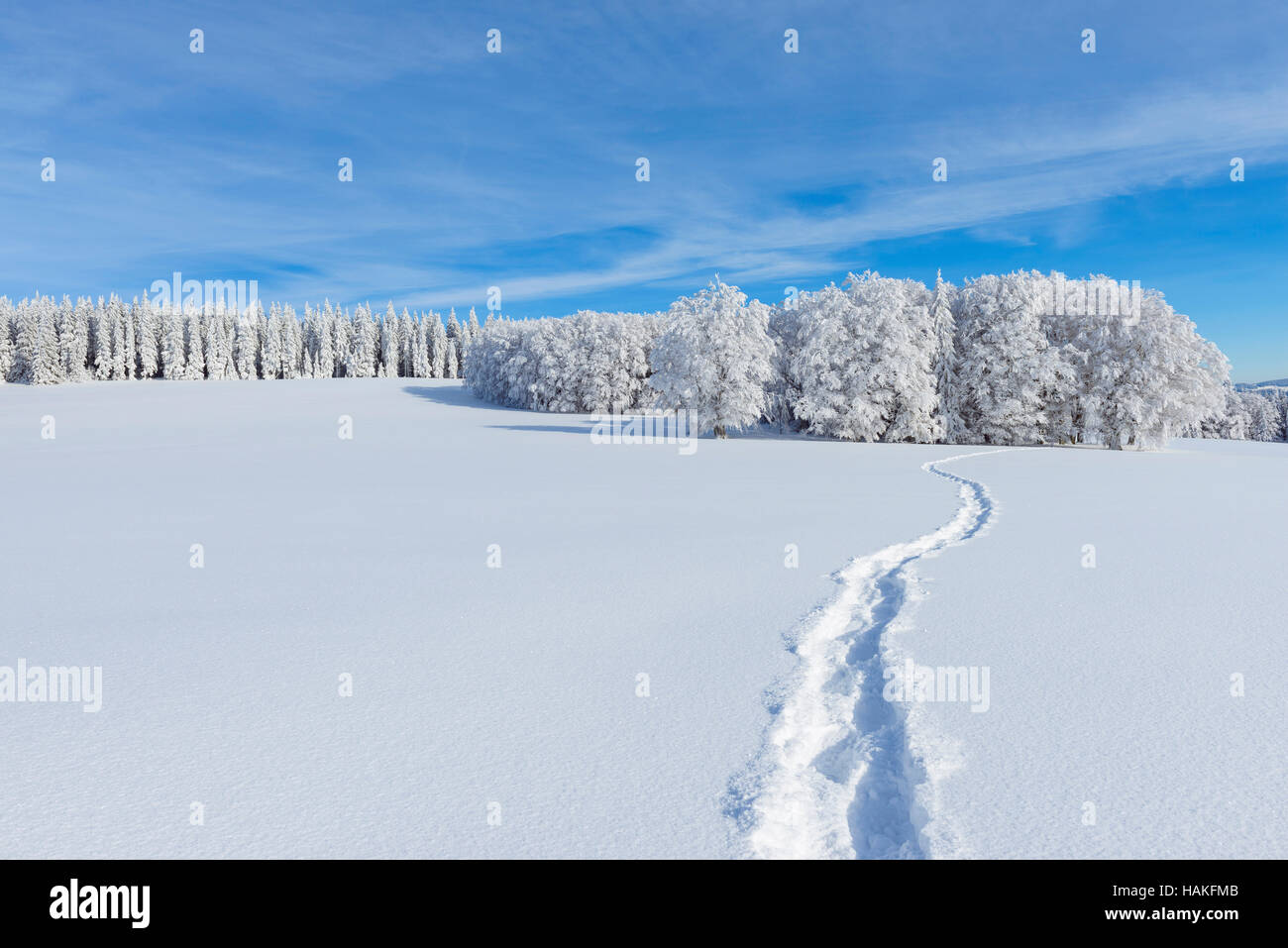 Snow Covered Winter Landscape with Snowshoe Trail, Schauinsland, Black ...
