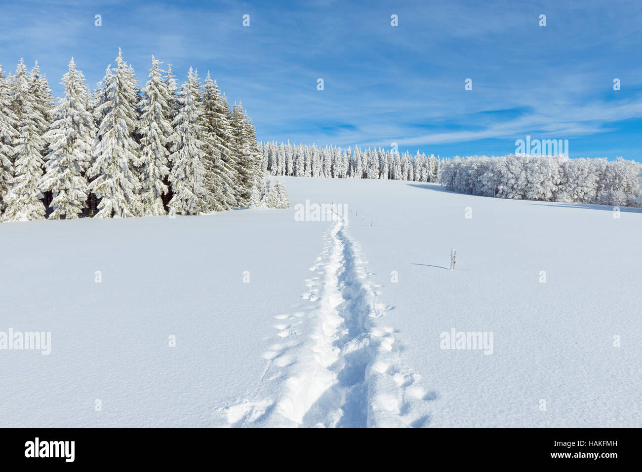 Snow Covered Winter Landscape with Snowshoe Trail, Schauinsland, Black ...