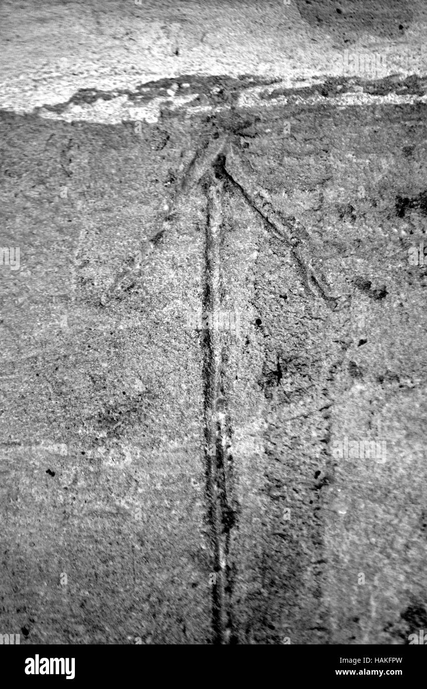 Athens forest Black and White Stock Photos & Images - Alamy