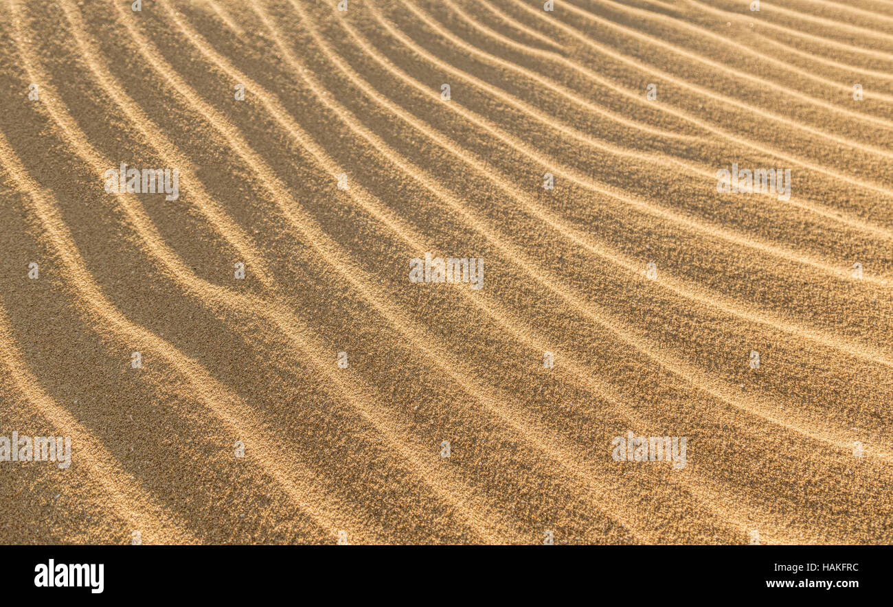 Undulating ribbed patterns in the sand, created by wind and seawater ...