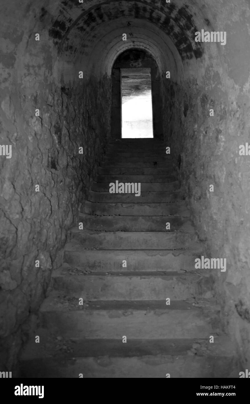 Athens forest Black and White Stock Photos & Images - Alamy