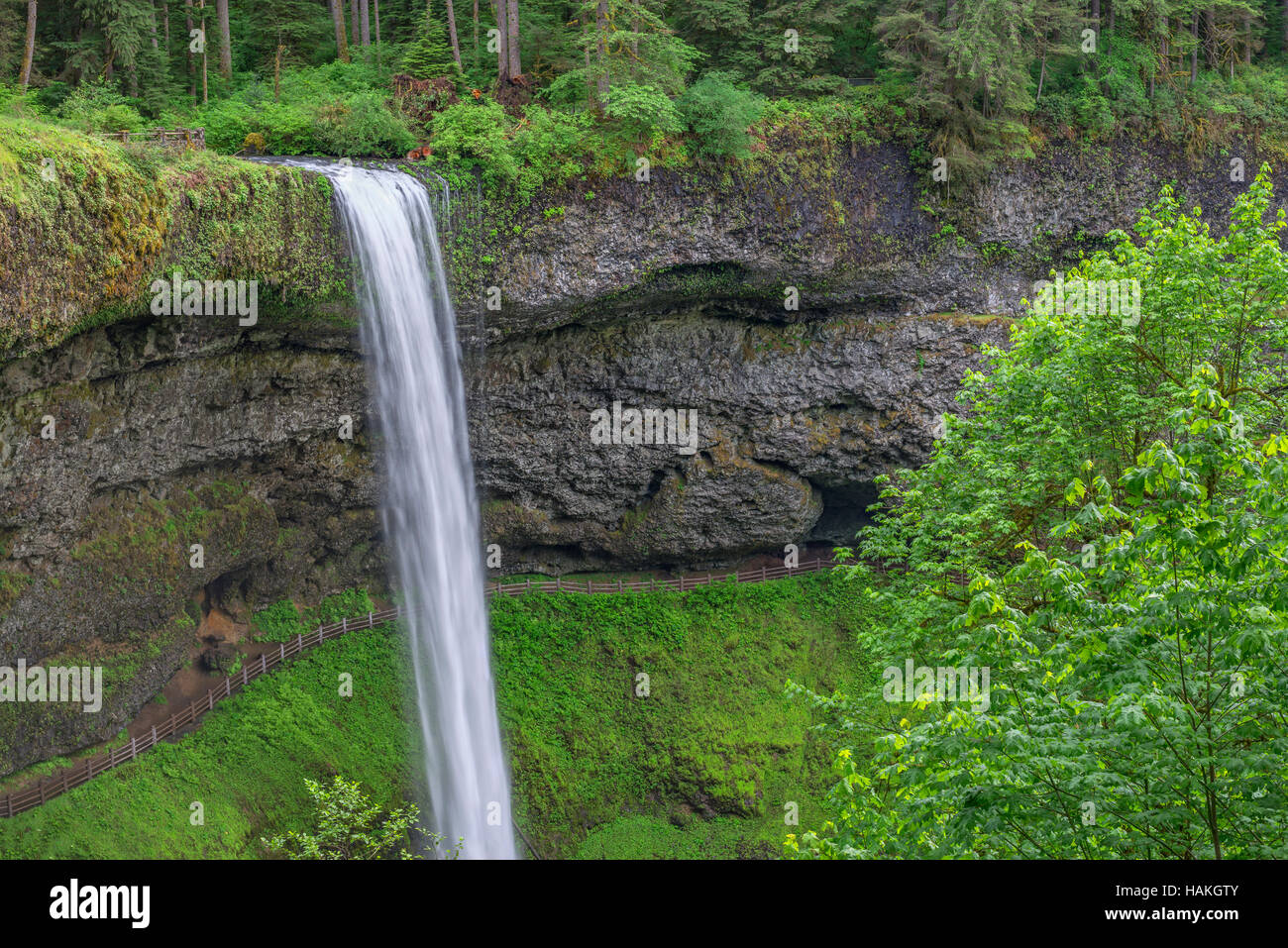 USA, Oregon, Silver Falls State Park, Spring flow of South Fork Silver ...