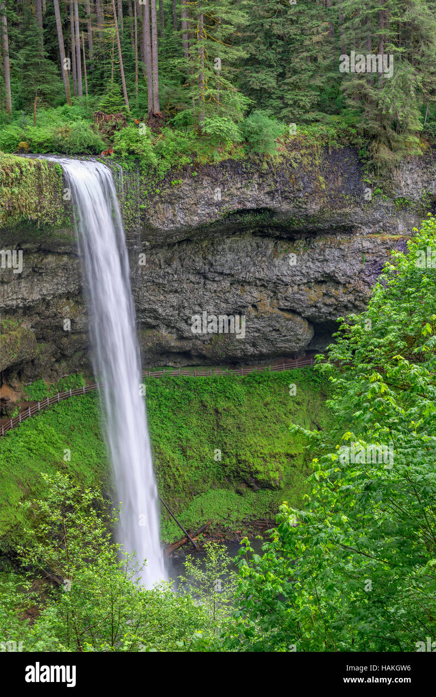 USA, Oregon, Silver Falls State Park, Spring flow of South Fork Silver ...