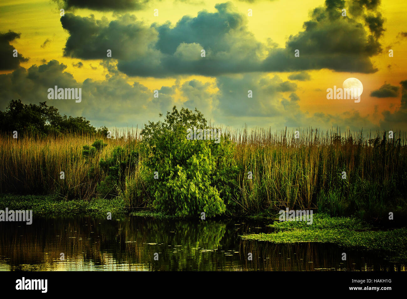 Beauty under the moon hi-res stock photography and images - Alamy