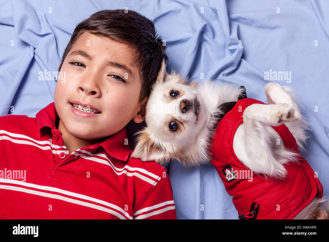 Young boy and his small dog Stock Photo - Alamy