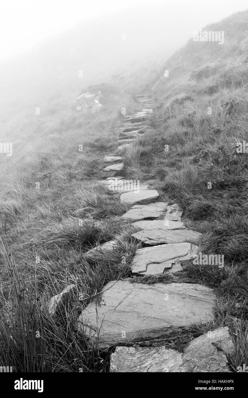 Paved contrast Black and White Stock Photos & Images - Alamy