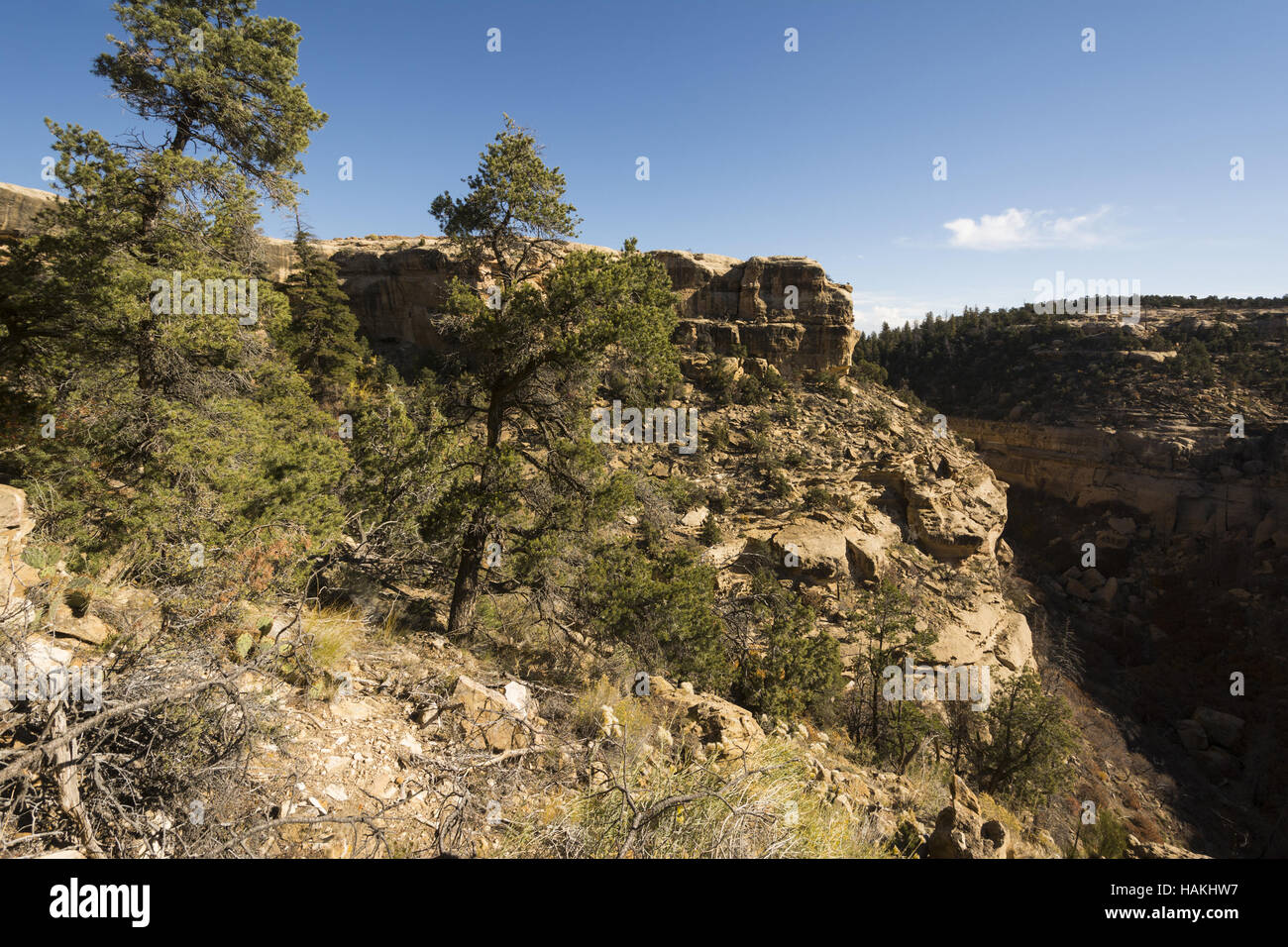 Colorado, Ute Mountain Tribal Park, landscape Stock Photo - Alamy
