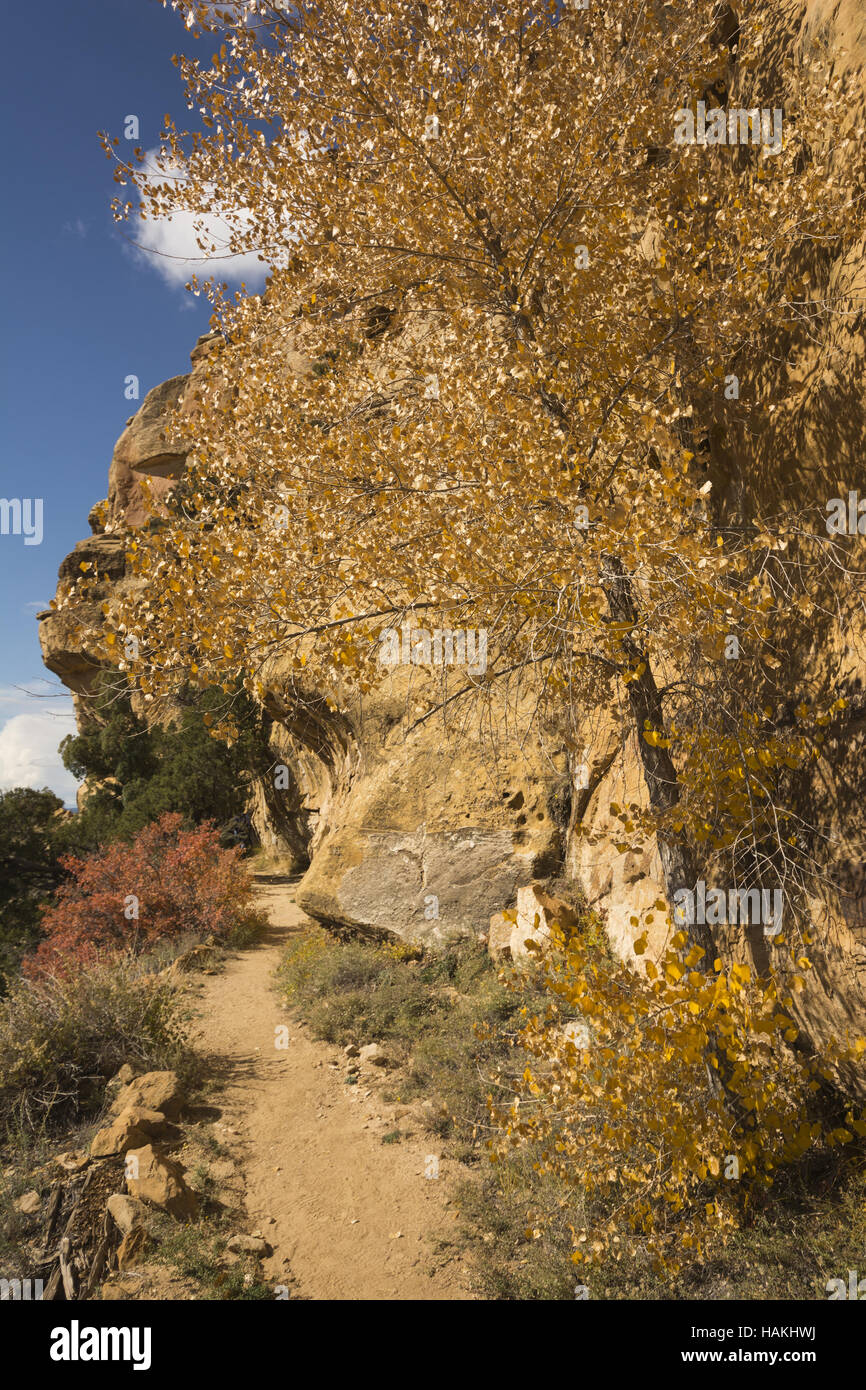 Colorado, Ute Mountain Tribal Park, landscape Stock Photo - Alamy