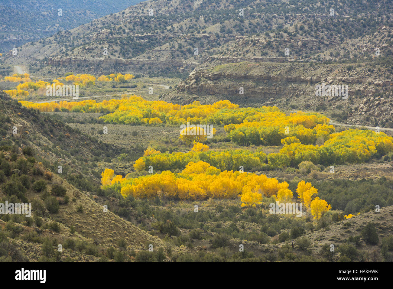 Colorado, Ute Mountain Tribal Park, landscape Stock Photo - Alamy