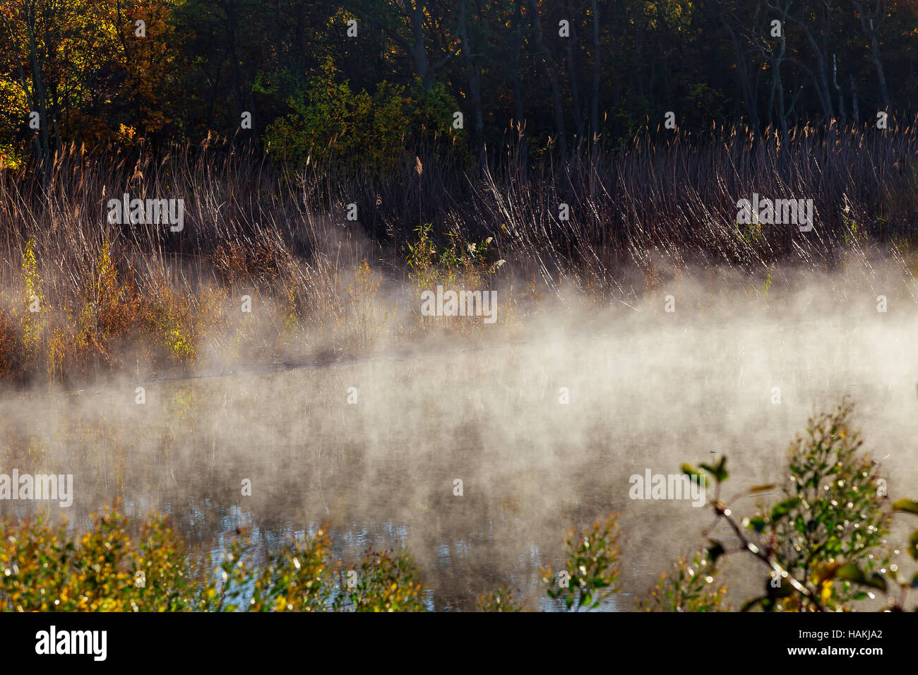 Over fall hi-res stock photography and images - Alamy