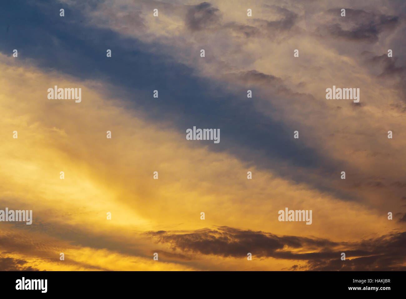 Sunbeam natural hi-res stock photography and images - Alamy