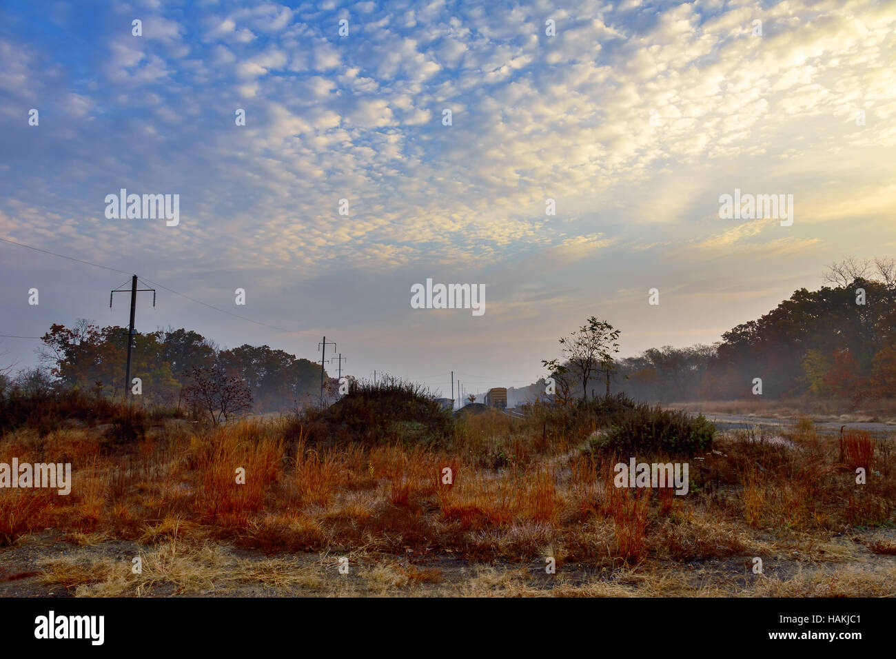 river mist in the summer morning Stock Photo - Alamy