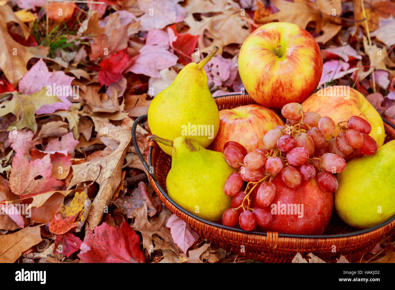 Autumn harvest. Pears, apple, grapes and yellow leaves on the wooden ...