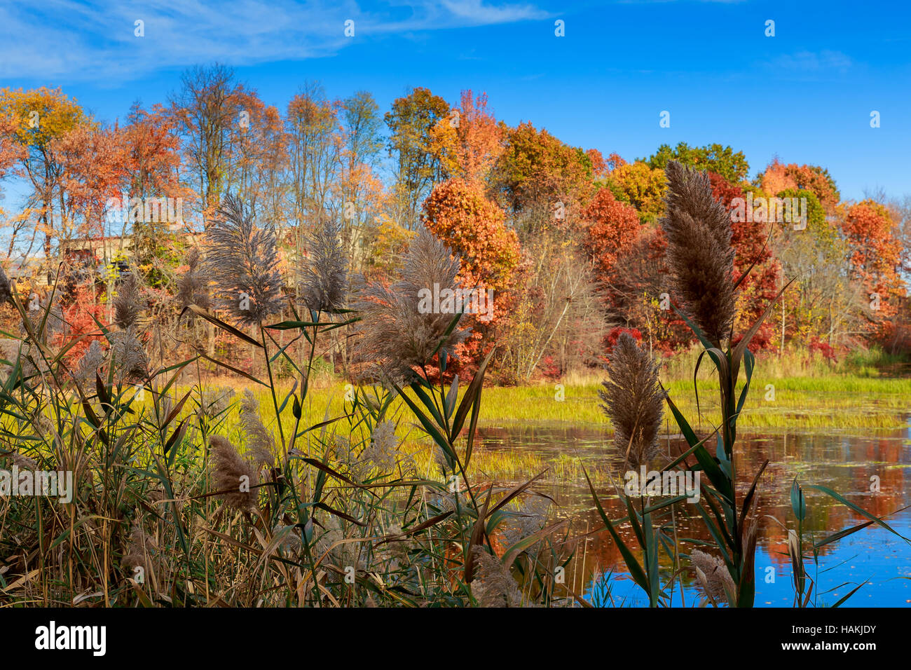 Autumn Landscape. The bright colors in the lake Stock Photo - Alamy