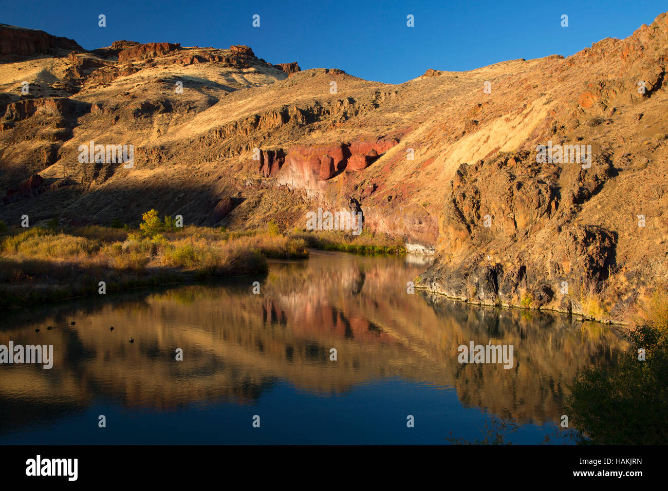 Owyhee desert hi-res stock photography and images - Alamy