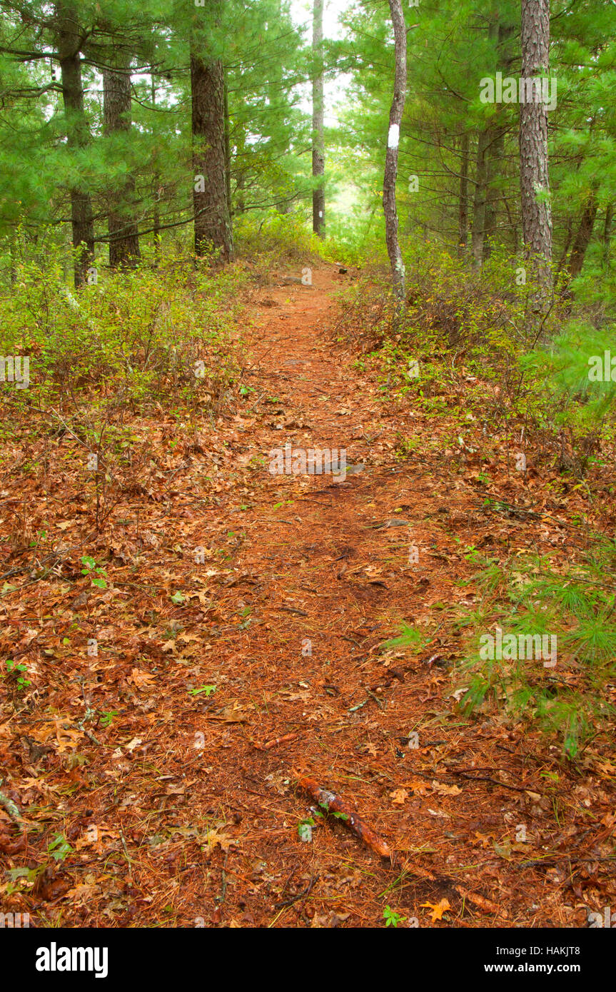 Pond Trail, Tillinghast Pond Management Area, Rhode Island Stock Photo ...