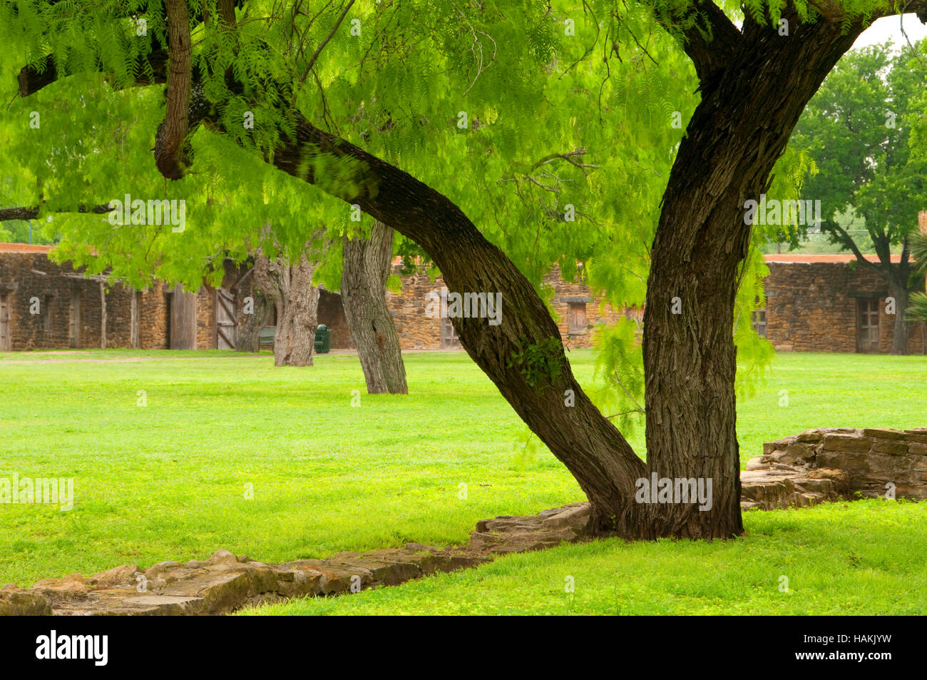 National historical museum courtyard hi-res stock photography and ...
