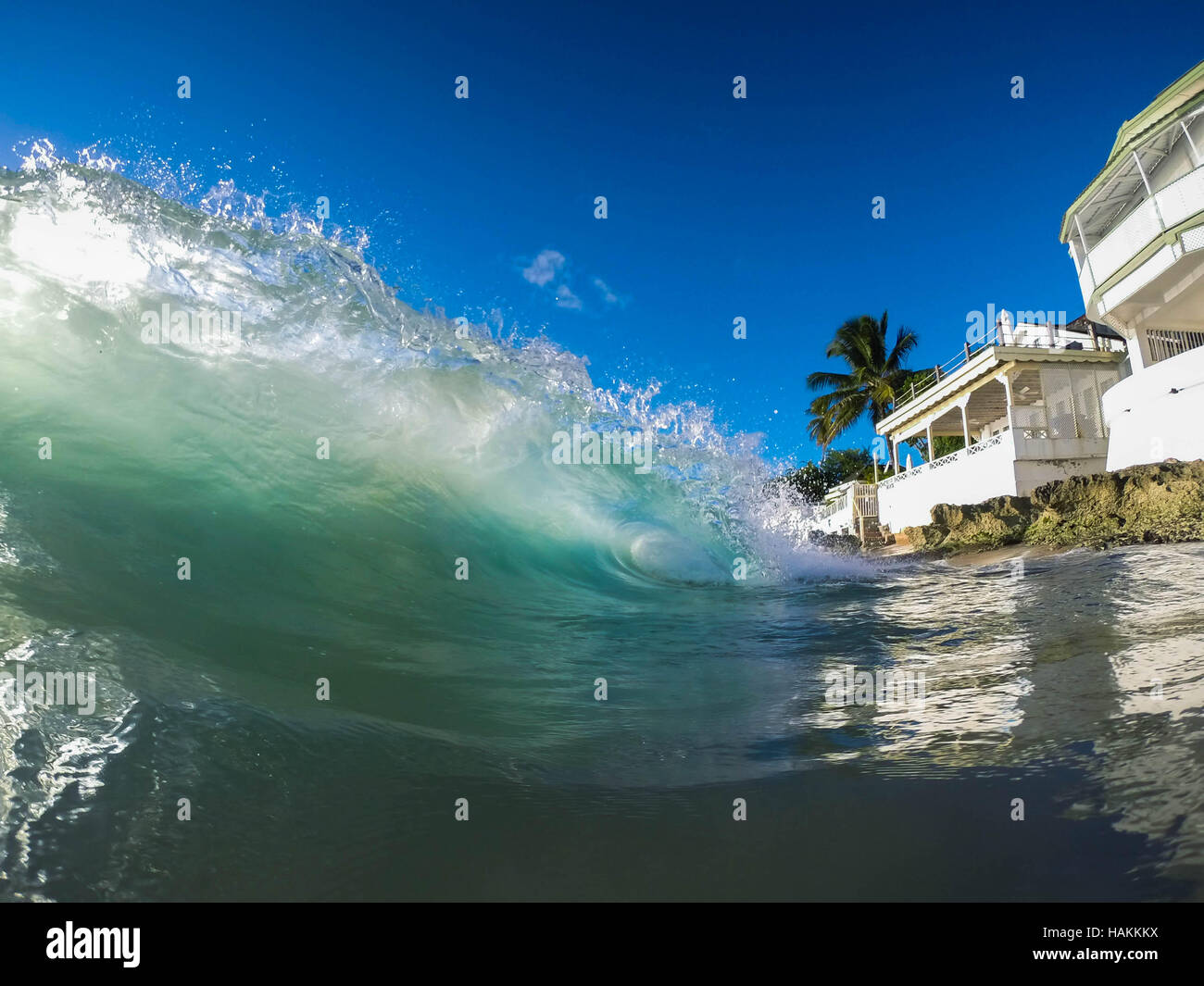Clear wave rising in tropical Caribbean sea with houses and palm trees ...