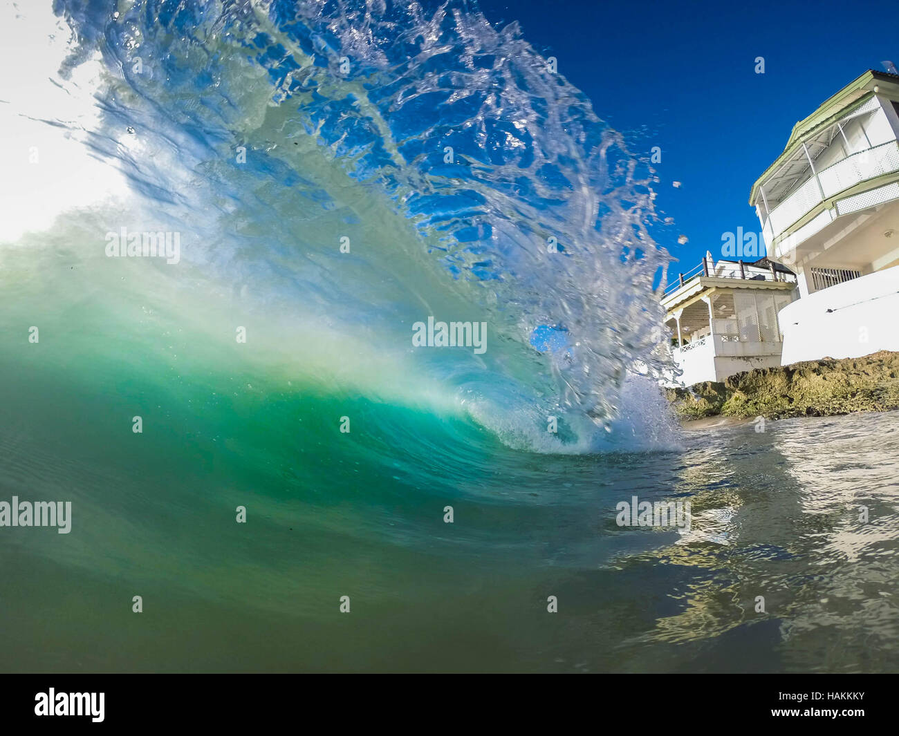 Clear wave rising in tropical Caribbean sea Stock Photo - Alamy