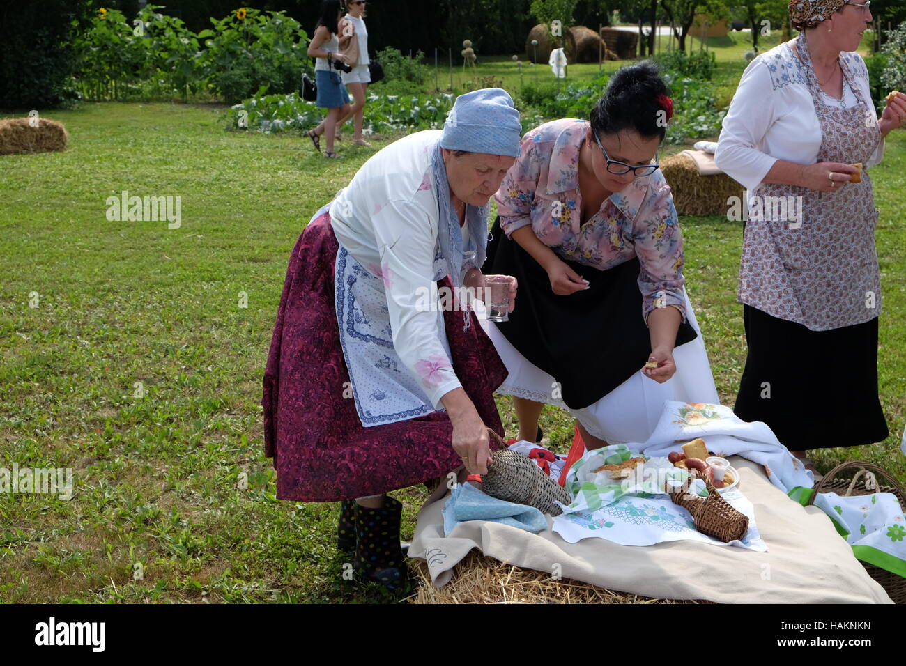 The harvest traditionally begins assembling villagers, singing and ...
