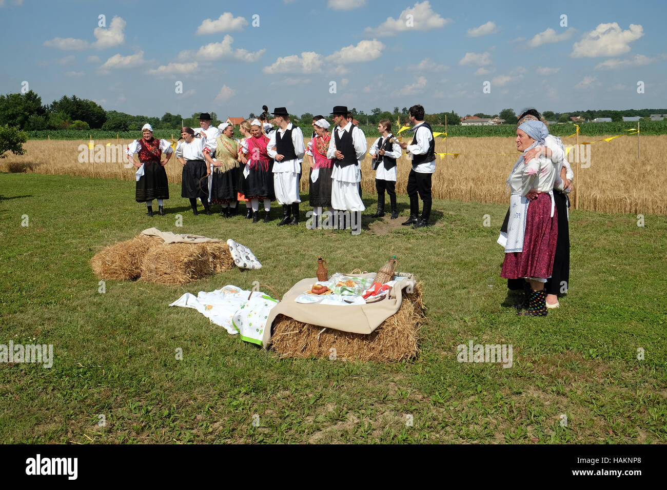 The harvest traditionally begins assembling villagers, singing and ...