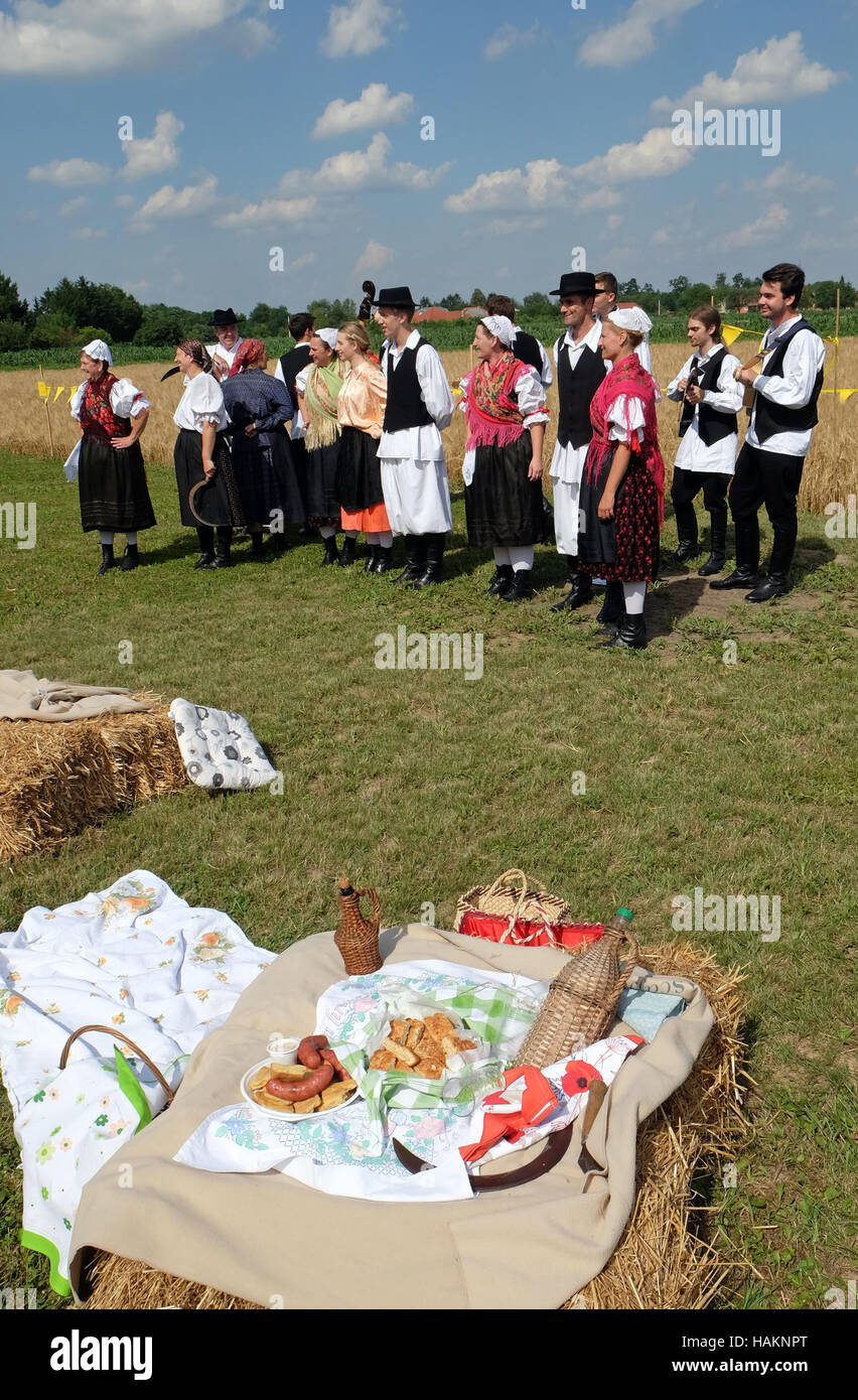 The harvest traditionally begins assembling villagers, singing and ...