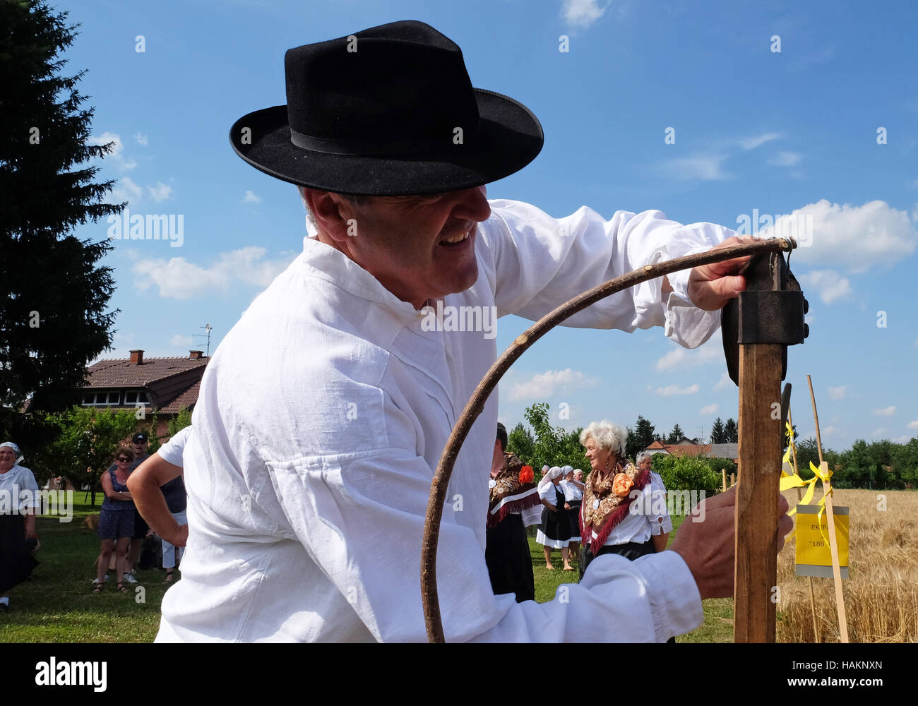 Farmer sharpening the scythe in the field in wheat fields in Nedelisce ...