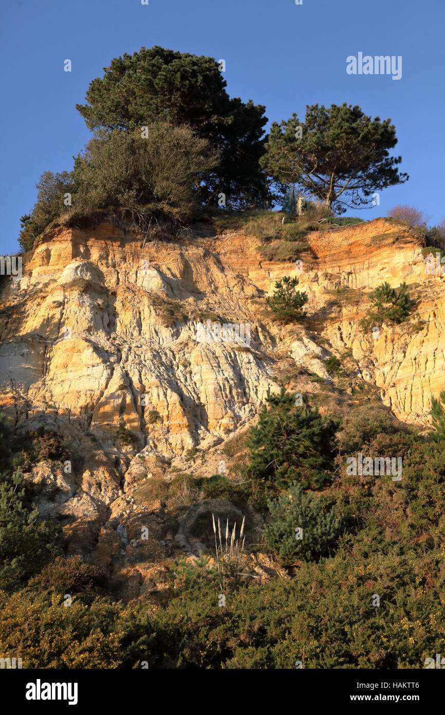 Sandstone cliff face overlooking Branksome / Poole seafront in low ...