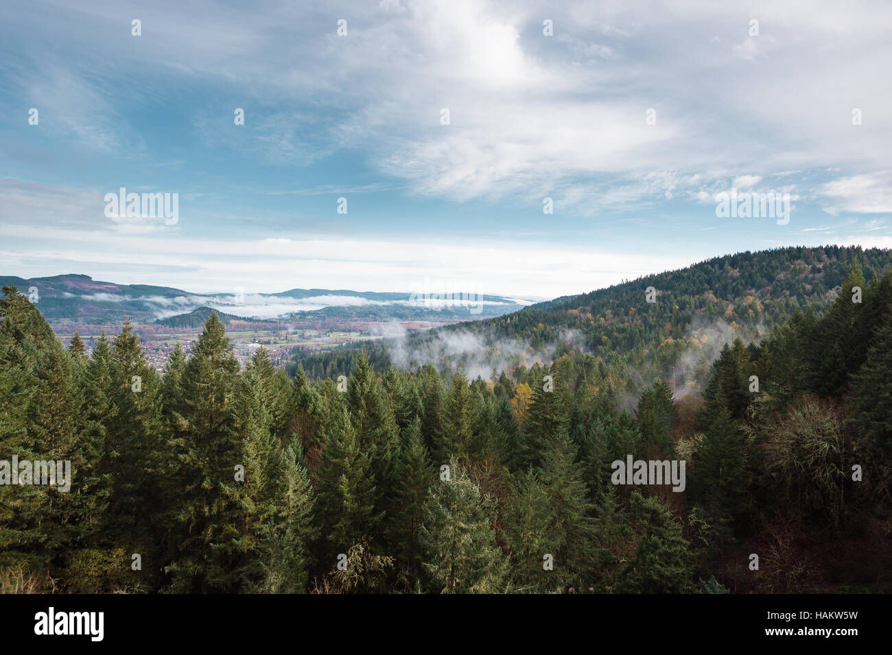 Thurston Hills Natural Area in Springfield Oregon offers great views ...