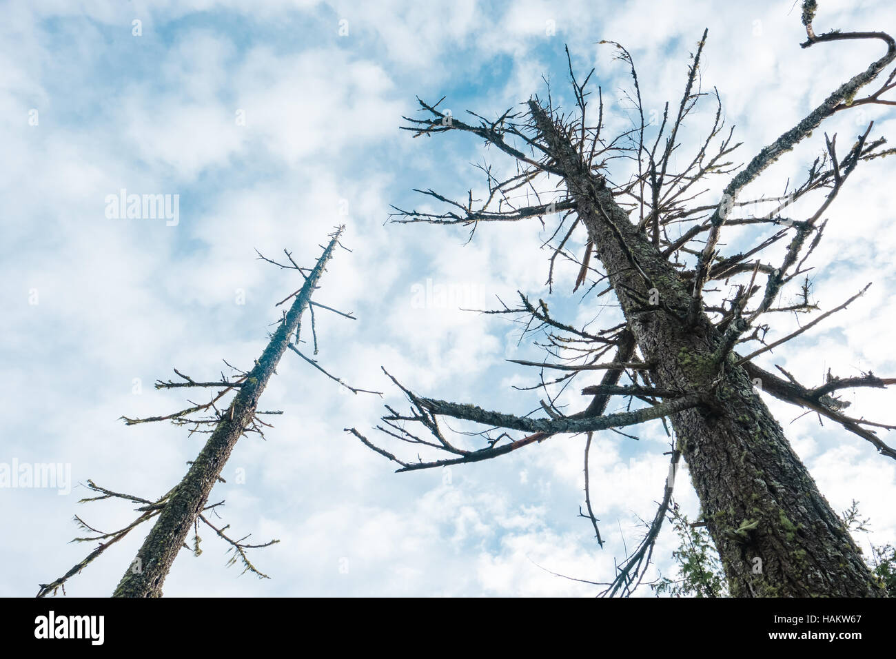 Thurston Hills Natural Area in Springfield Oregon offers great views ...
