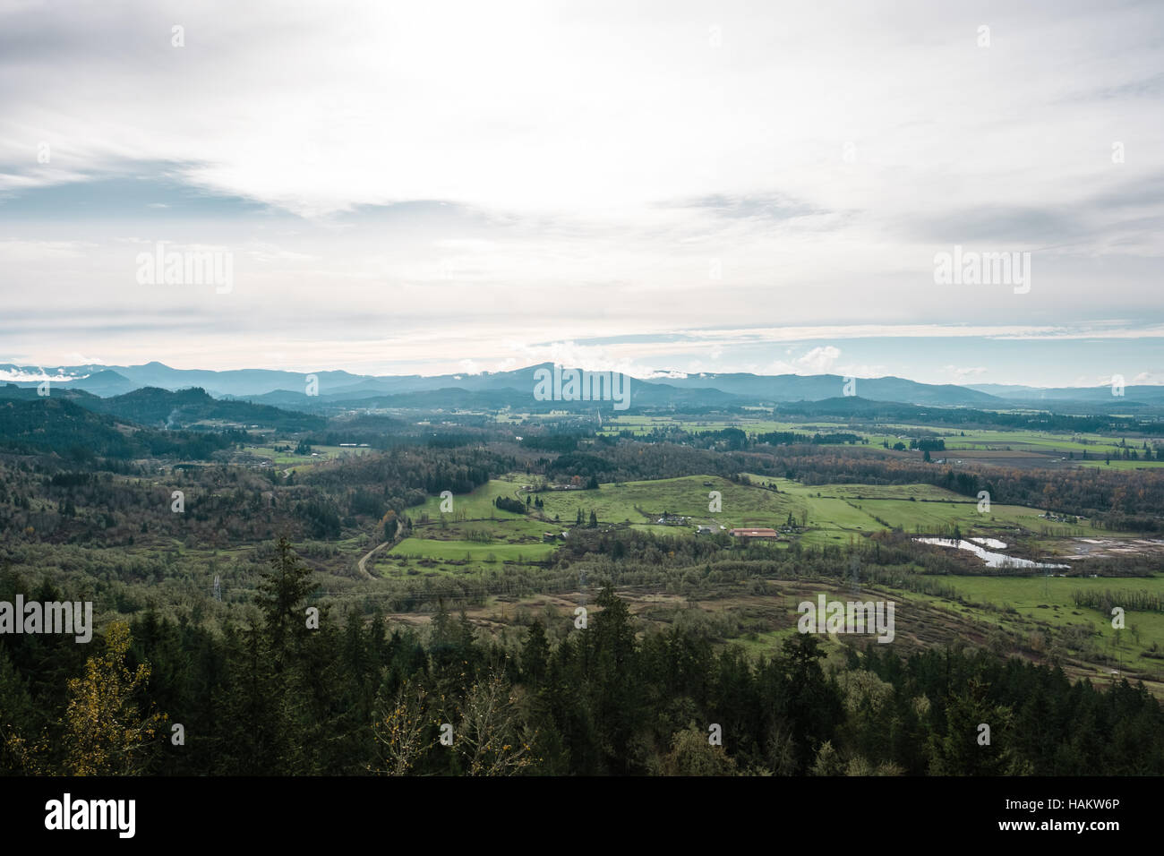Thurston Hills Natural Area in Springfield Oregon offers great views ...