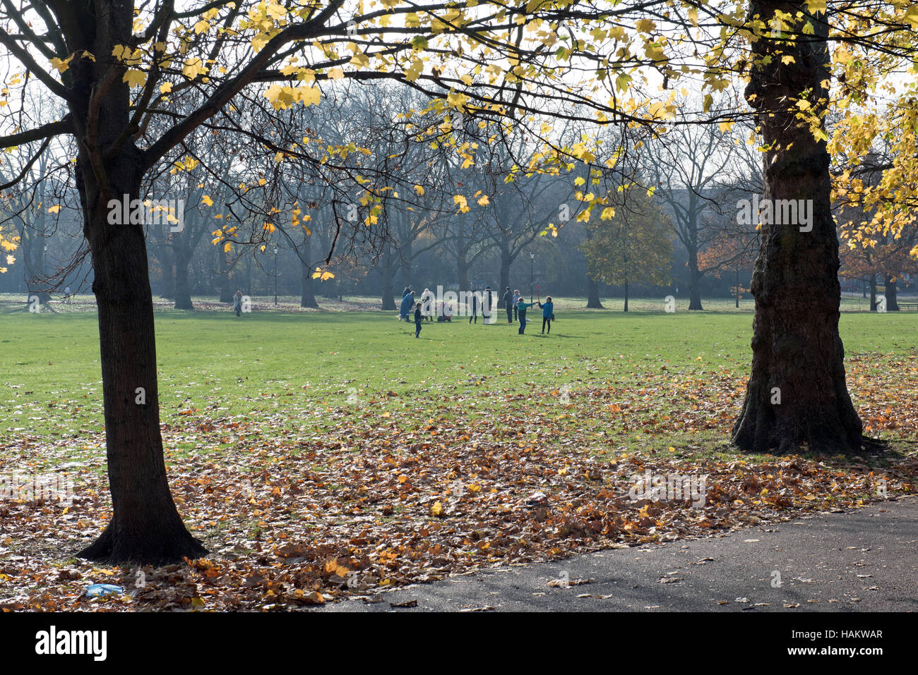 Highbury fields in highbury london hi-res stock photography and images ...